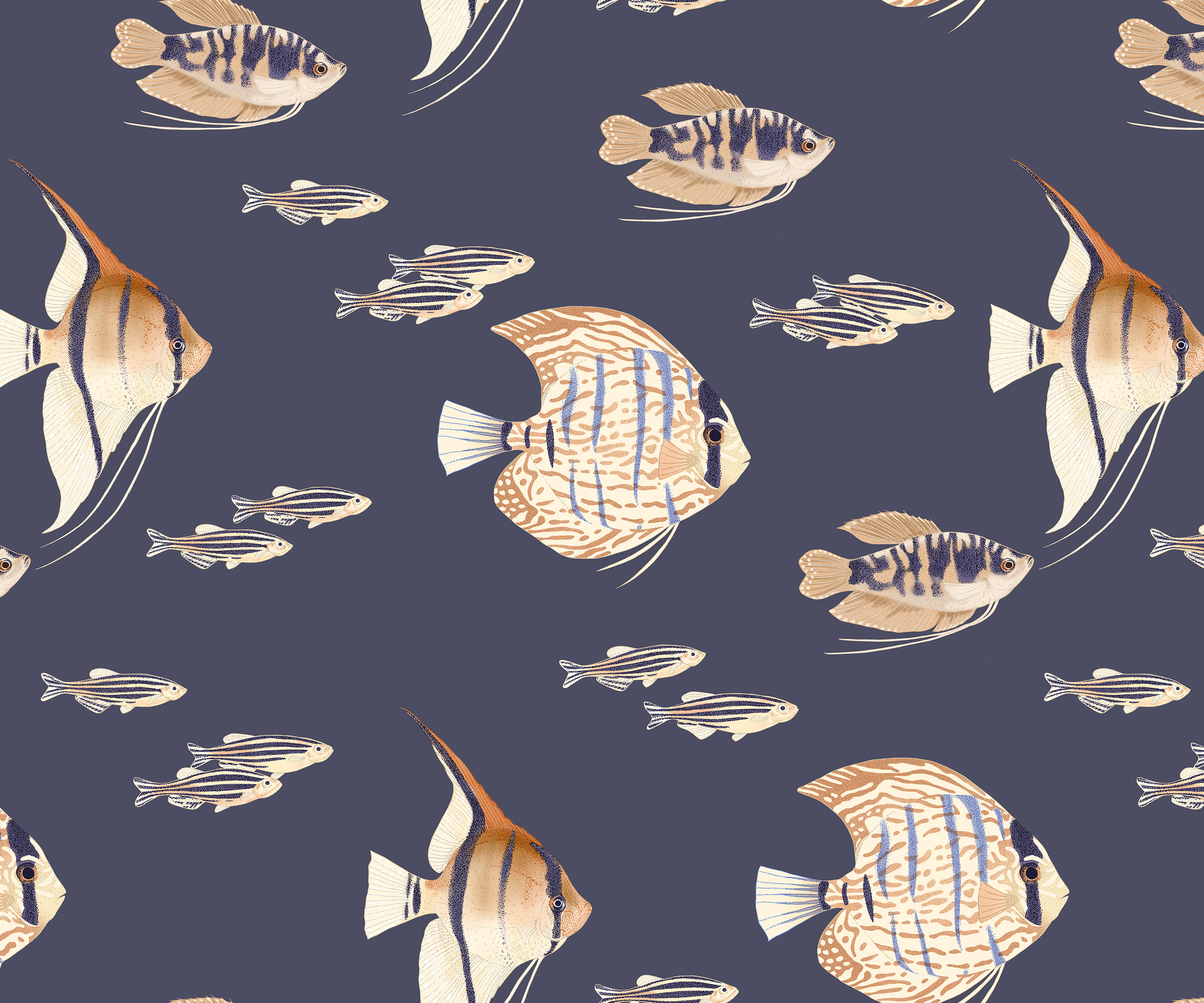 Tropical Fish Wallpaper | Kitchen Wallpaper | Bathroom Wallpaper ...