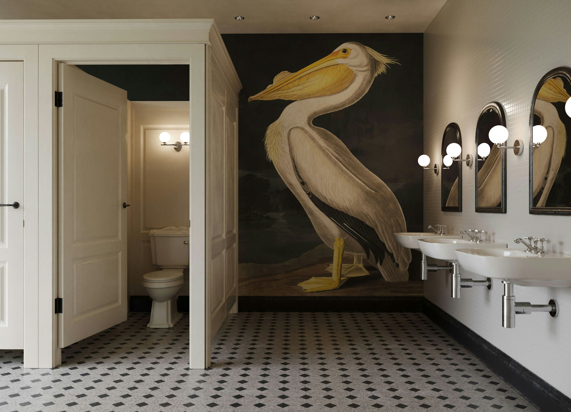 Birds of America Pelican Wallpaper Mural | Bobbi Beck