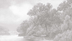 Etched Tree Wallpaper Mural | Bobbi Beck