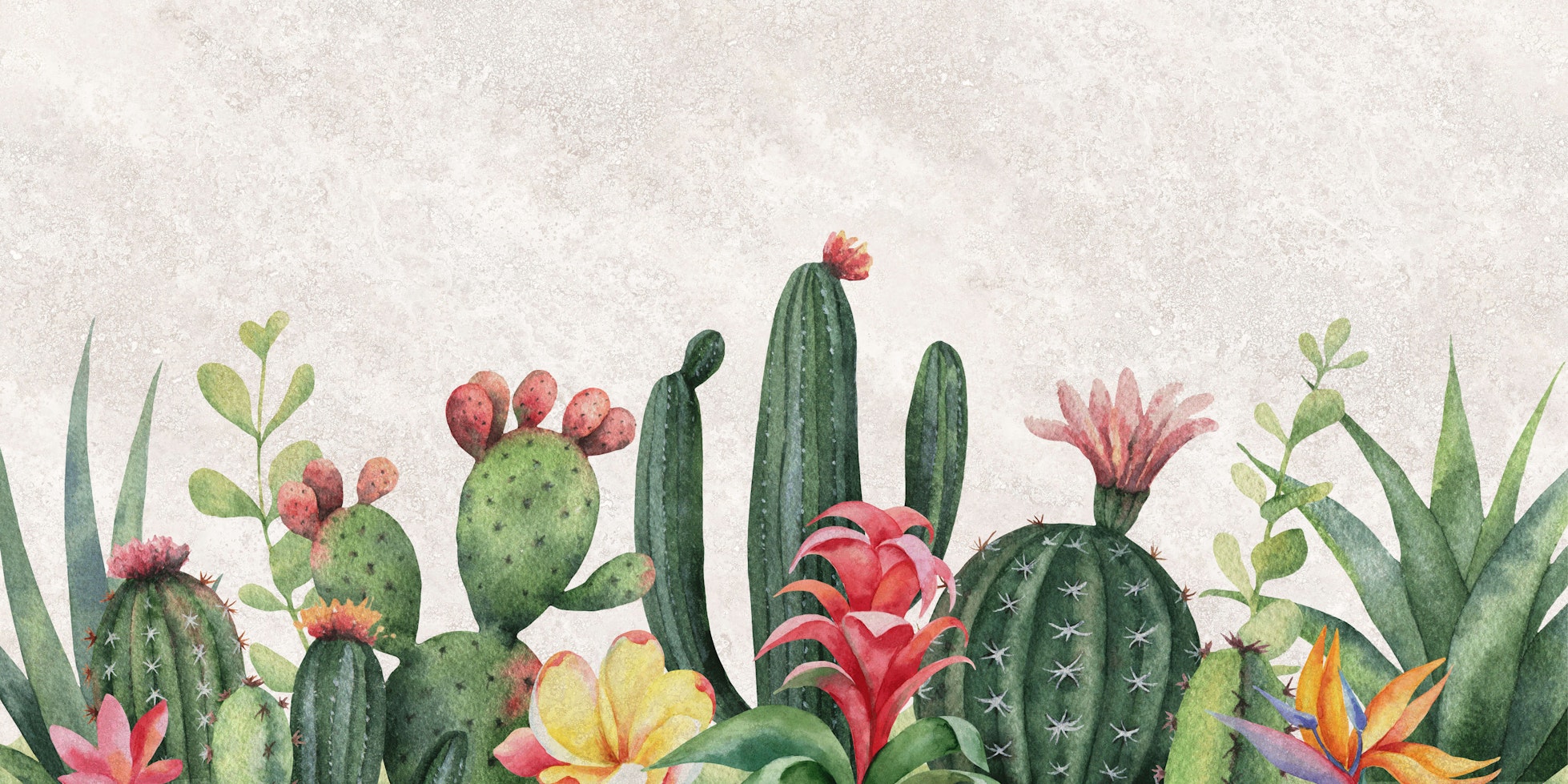 Watercolour Cactus Wallpaper Mural | Concrete Grunge Design | Bobbi Beck