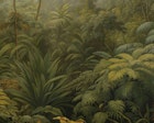 Panoramic Jungle Wallpaper Mural | Bobbi Beck