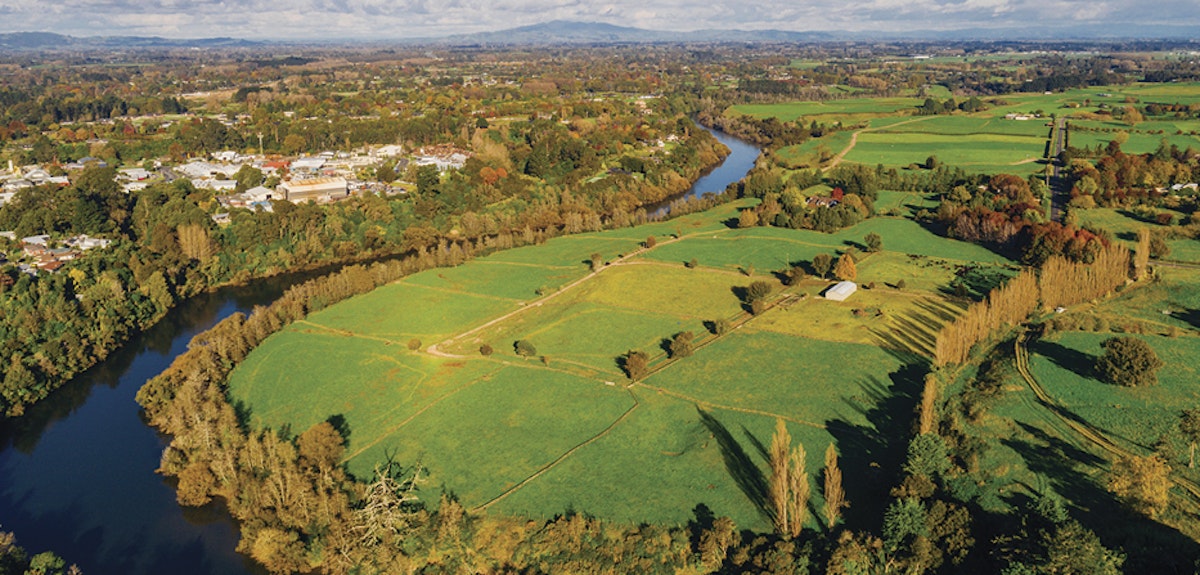 Peacocke Suburb Development | Case Study | TPG NZ