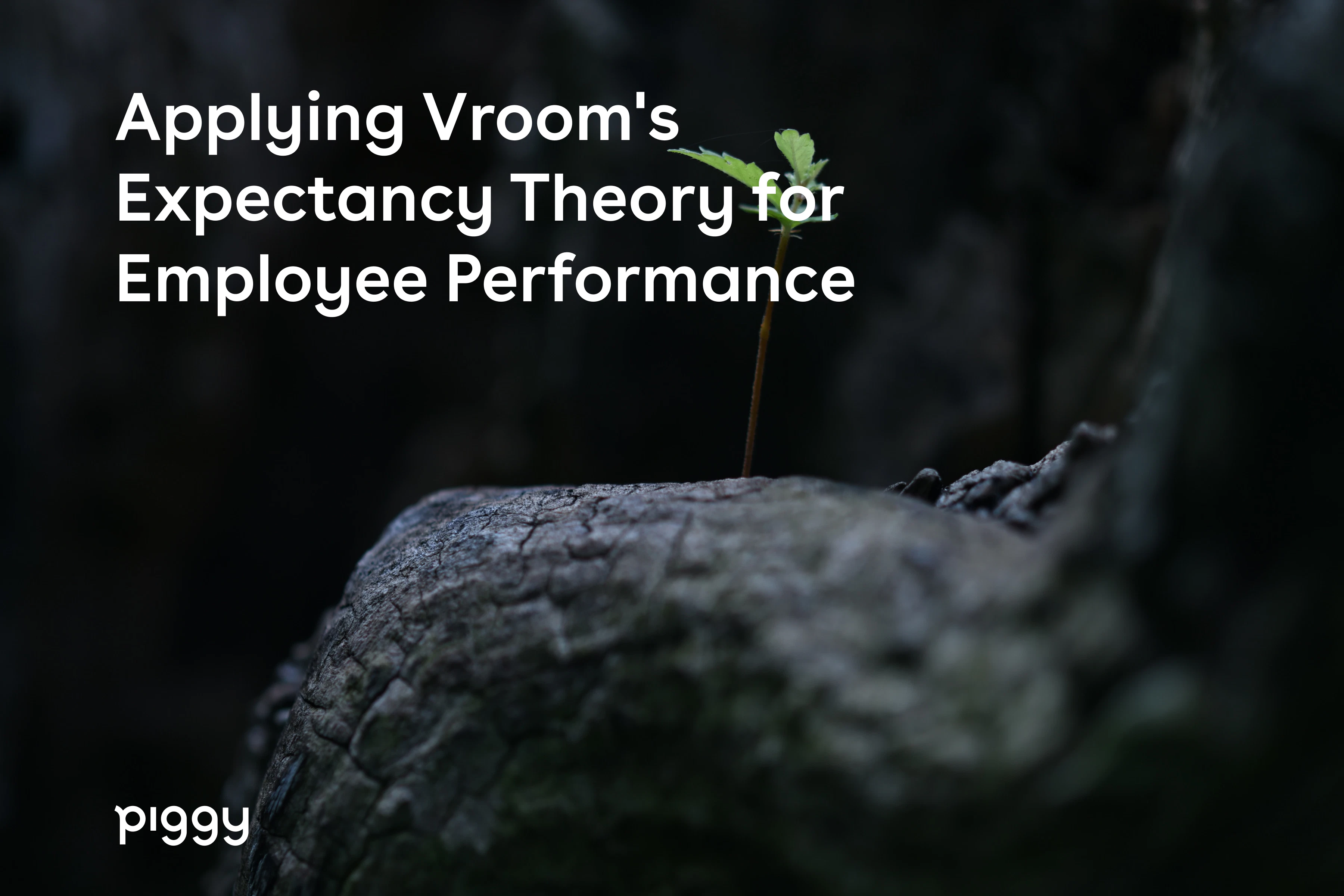 Applying Vroom s Expectancy Theory For Employee Performance applying-vroom-s-expectancy-theory-for-employee-performance