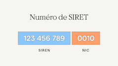 Comment obtenir mon numéro SIRET ? | Shine