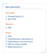 Déclaration mensuelle de TVA (CA3) : Guide | Shine