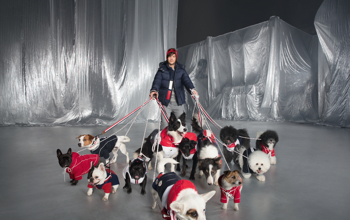 Moncler’s Winter Collection for Dogs Is the Only Thing You Need to See ...
