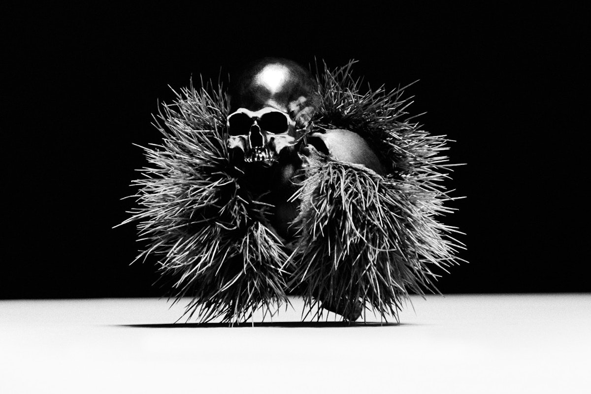 High Fashion Goes Horror For Halloween - Dior Saint Laurent Alexander ...