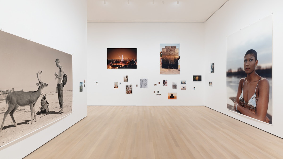 Wolfgang Tillmans Reveals a Connected Worldview in His Much-Awaited MoMA Retrospective