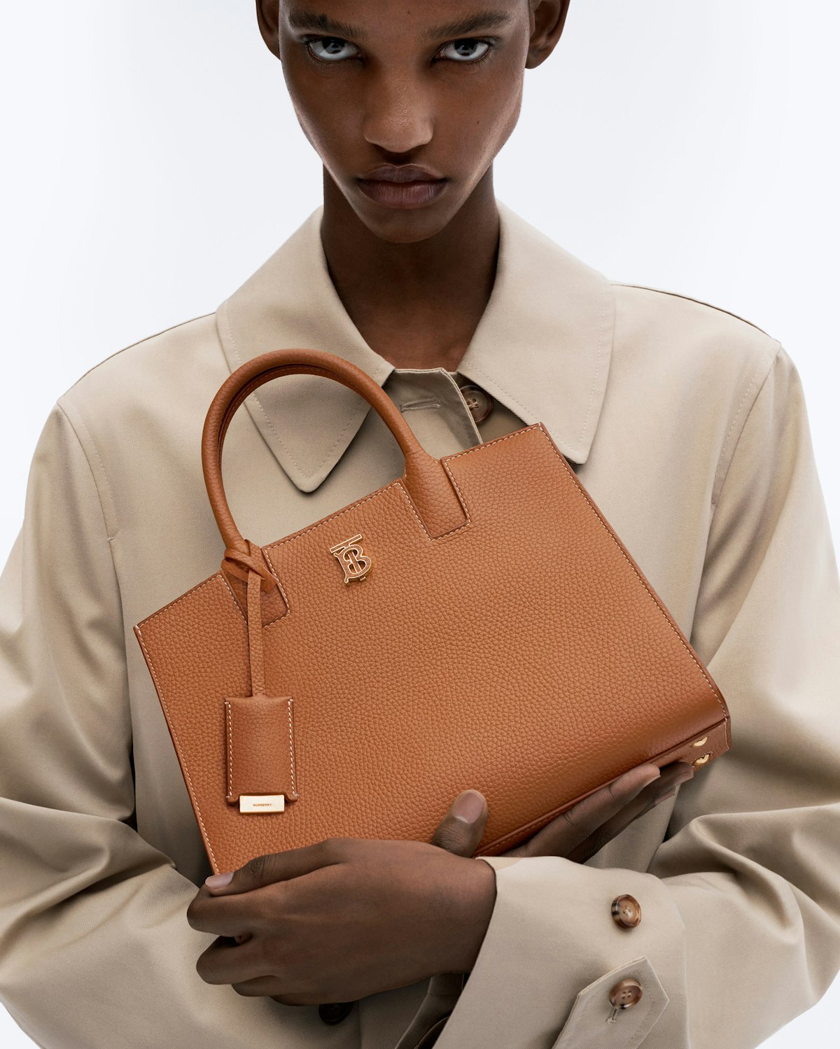 Meet Your Timeless Companion: The Burberry Frances Bag