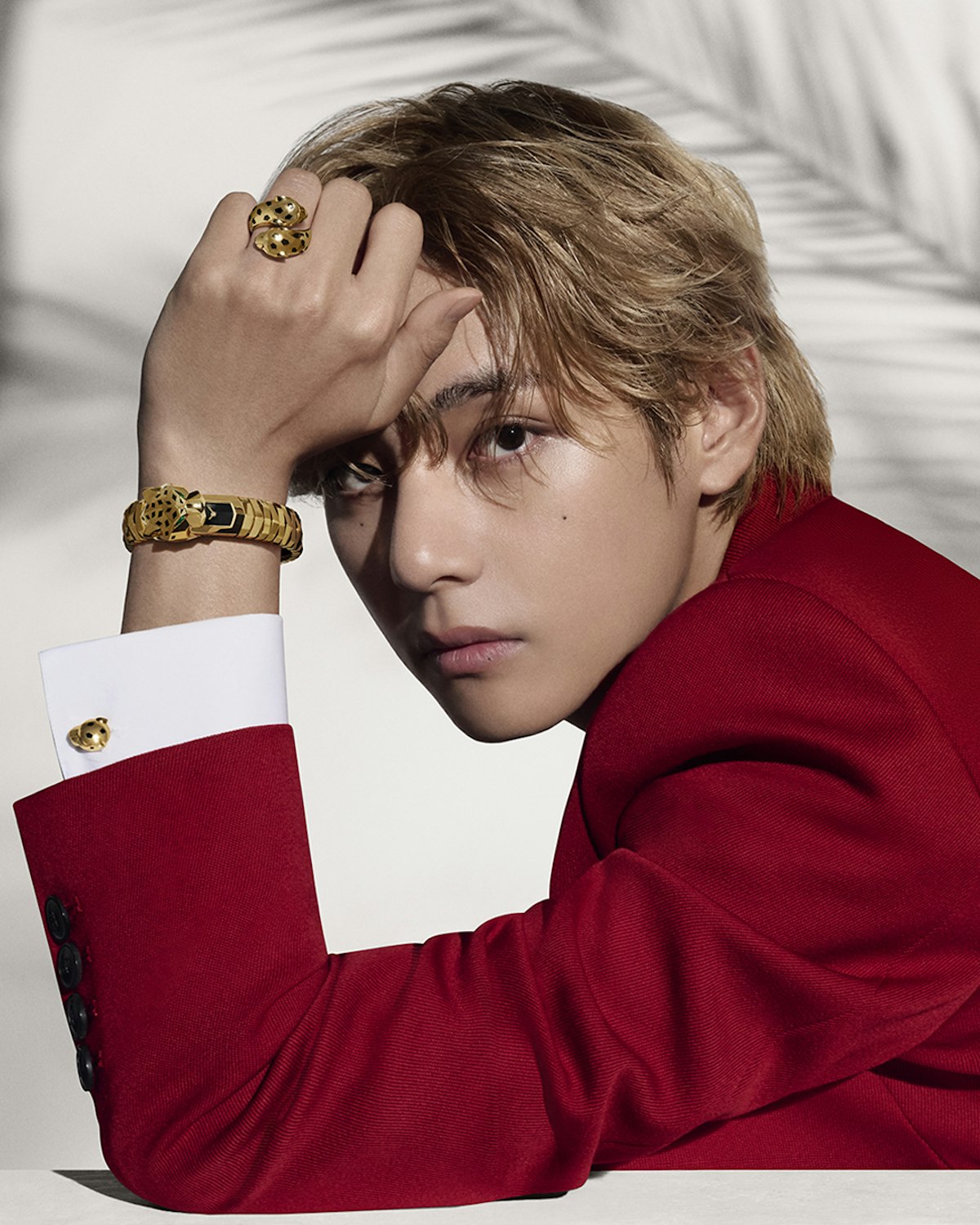 BTS’ V Stuns as the New Face of the Panthère de Cartier Campaign