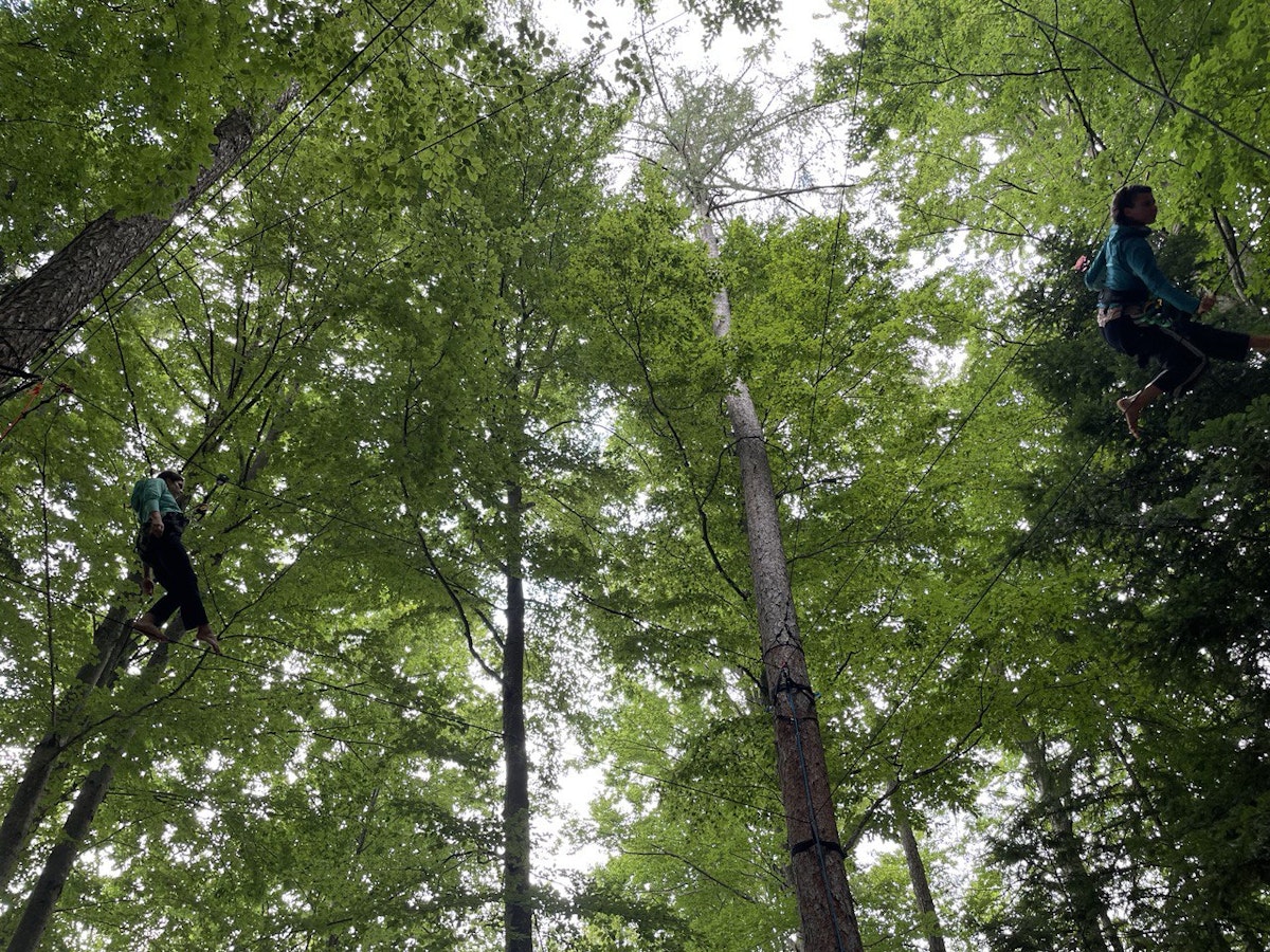 Alice Delva - Oriente Occidente