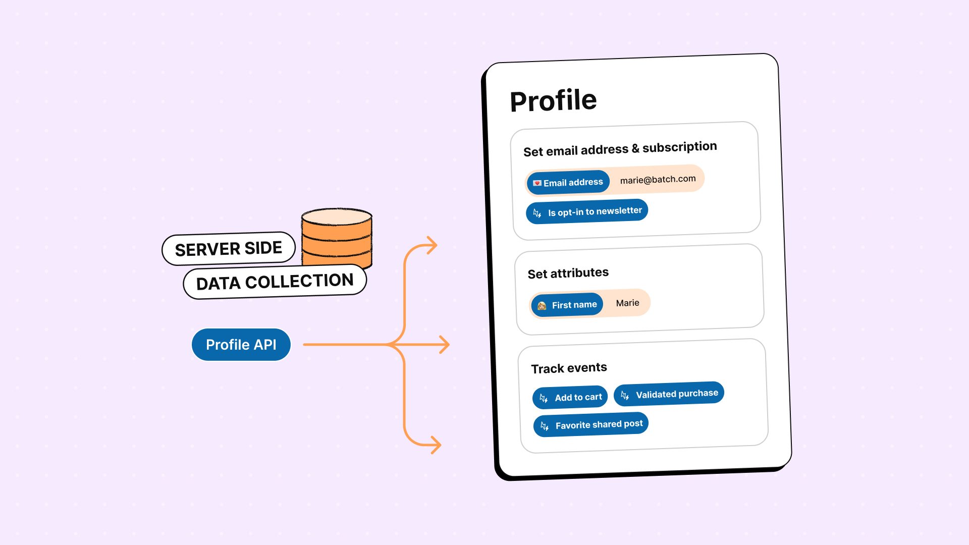 Batch | Batch's Profile API: ease your omnichannel data management