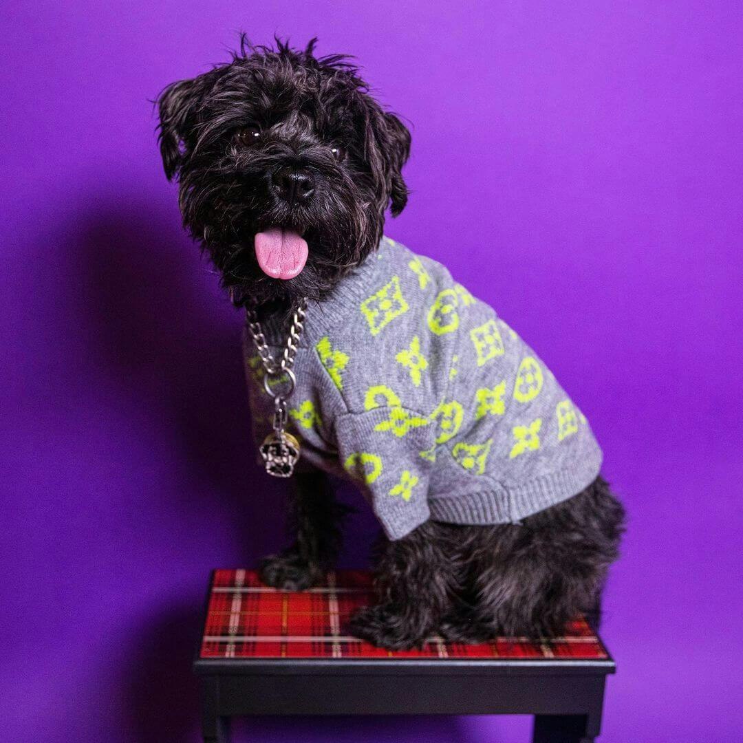 1 000 GIRL DOG NAMES ProPetsPassion 1 000 GIRL DOG NAMES ProPetsPassion