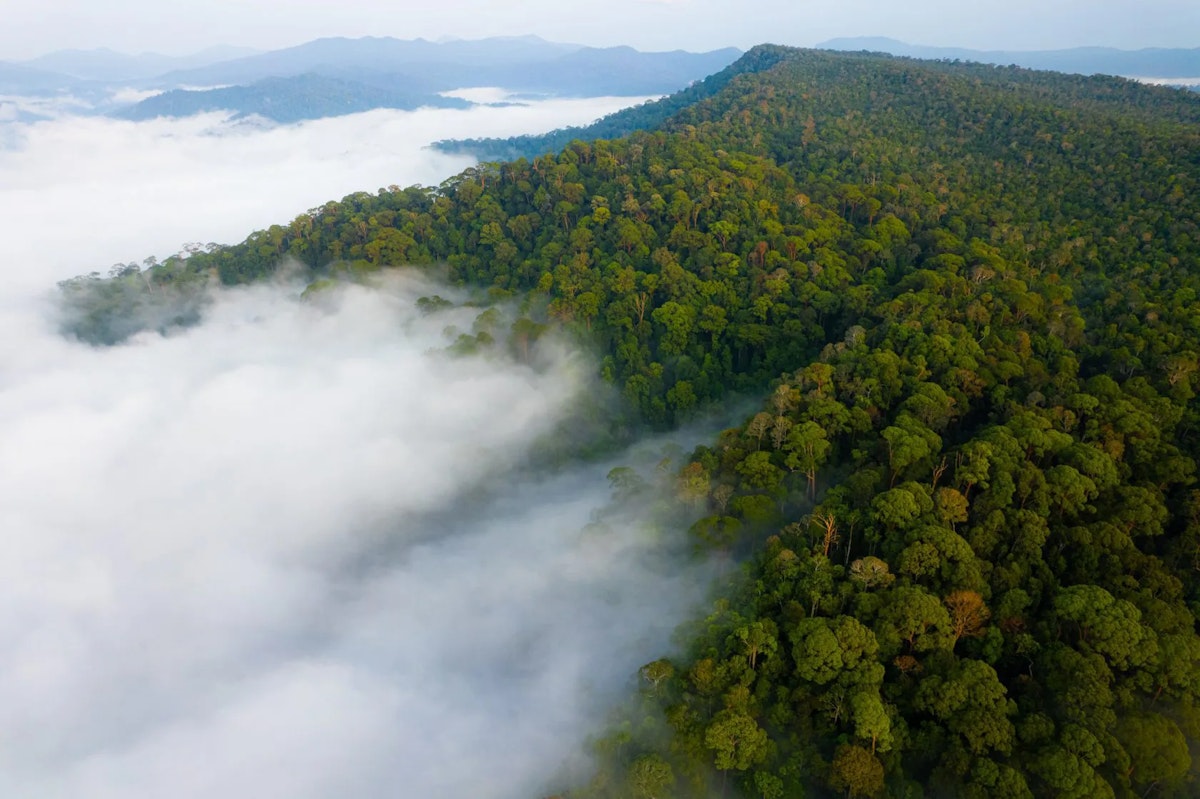 Celebrating World Earth Day 2024: Actions for a Sustainable Future