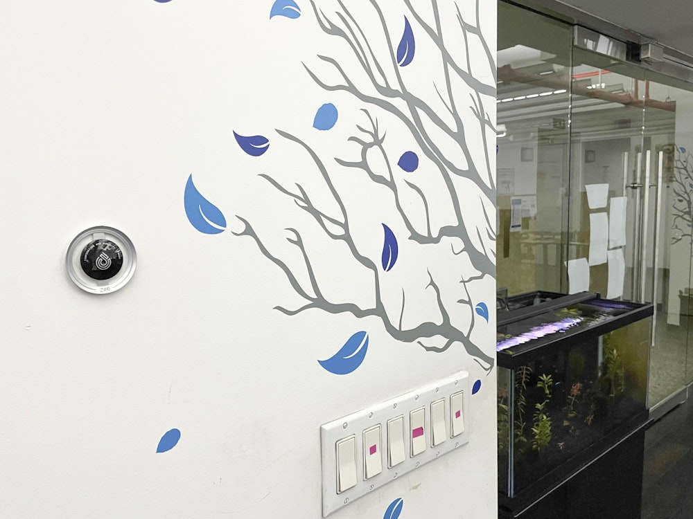 1638987164-bright-power1-2.jpg?w=1000&fit=max&fm=jpg