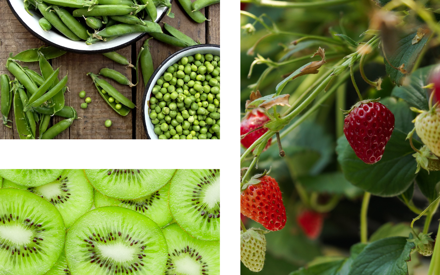 Wellness Edit Spring Edition | Peninsula Hot Springs