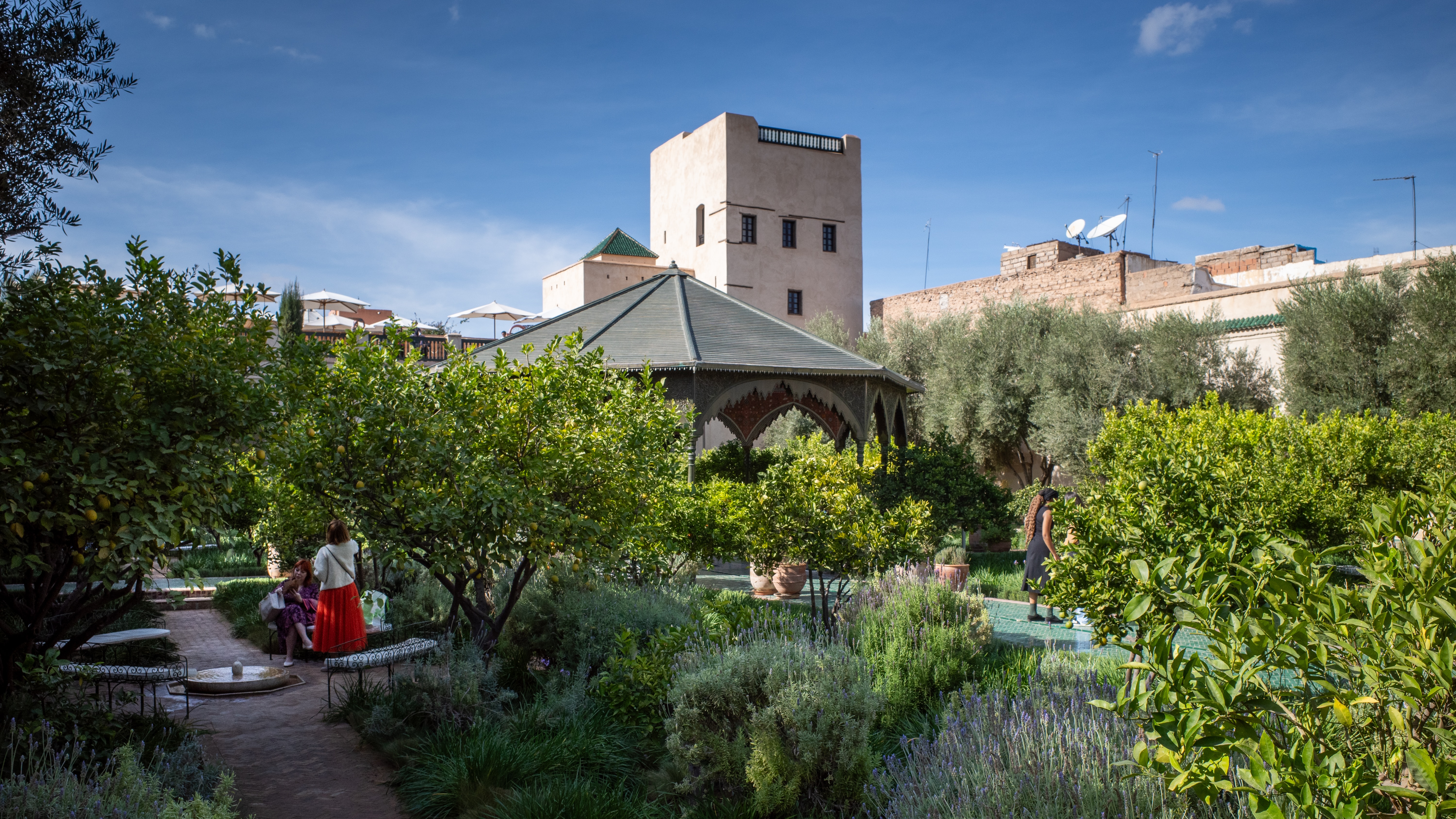 The Gardens of Marrakech: A Paradise Culture