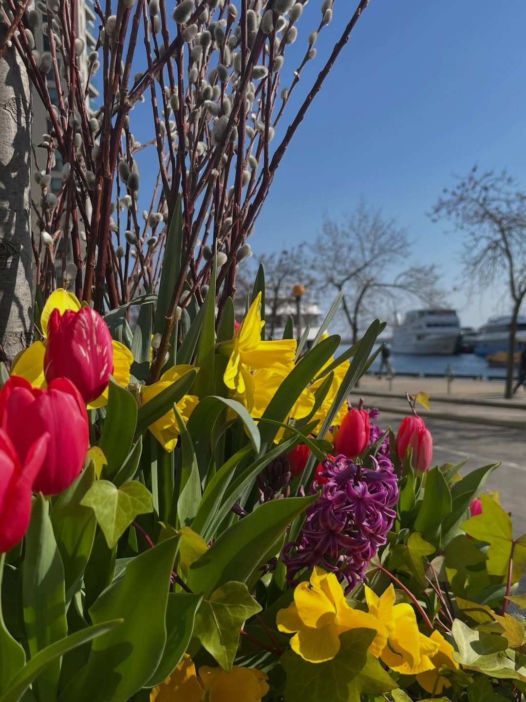 Harbour Square Park in Toronto - Pearl Club