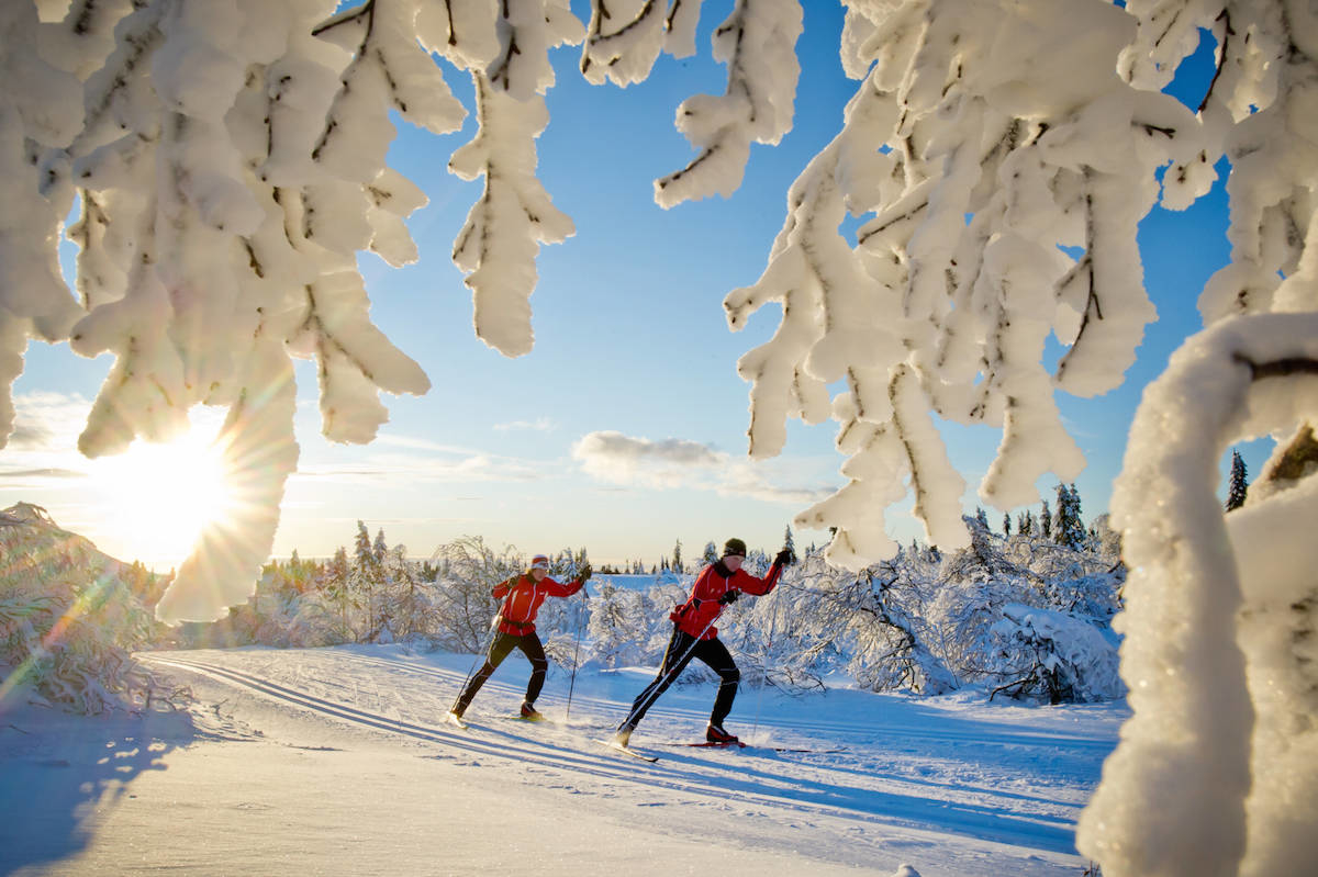 Langrenn – tips og råd til de flotte langrennsopplevelser | UTEMAGASINET.NO