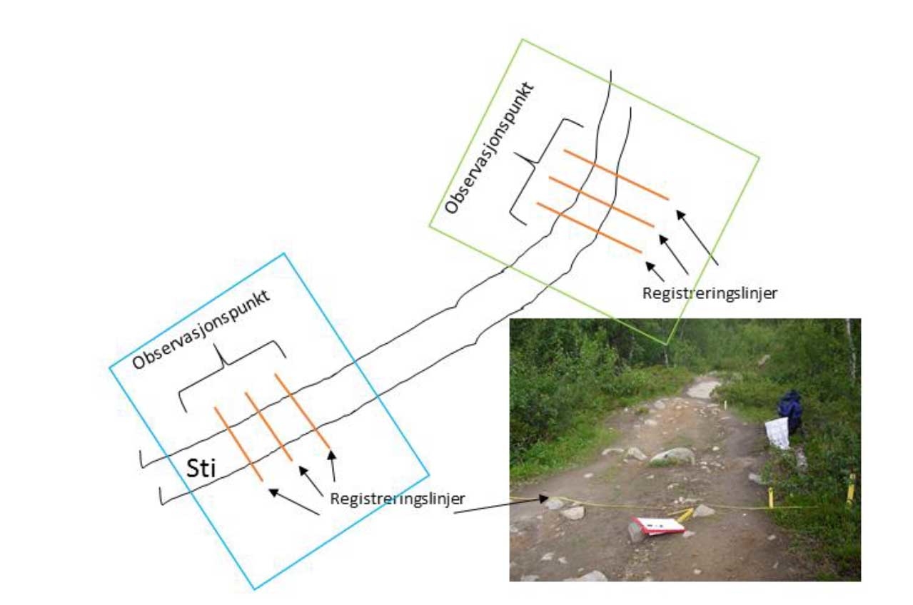 Slik forsket de på sti-slitasje | TERRENGSYKKEL.NO