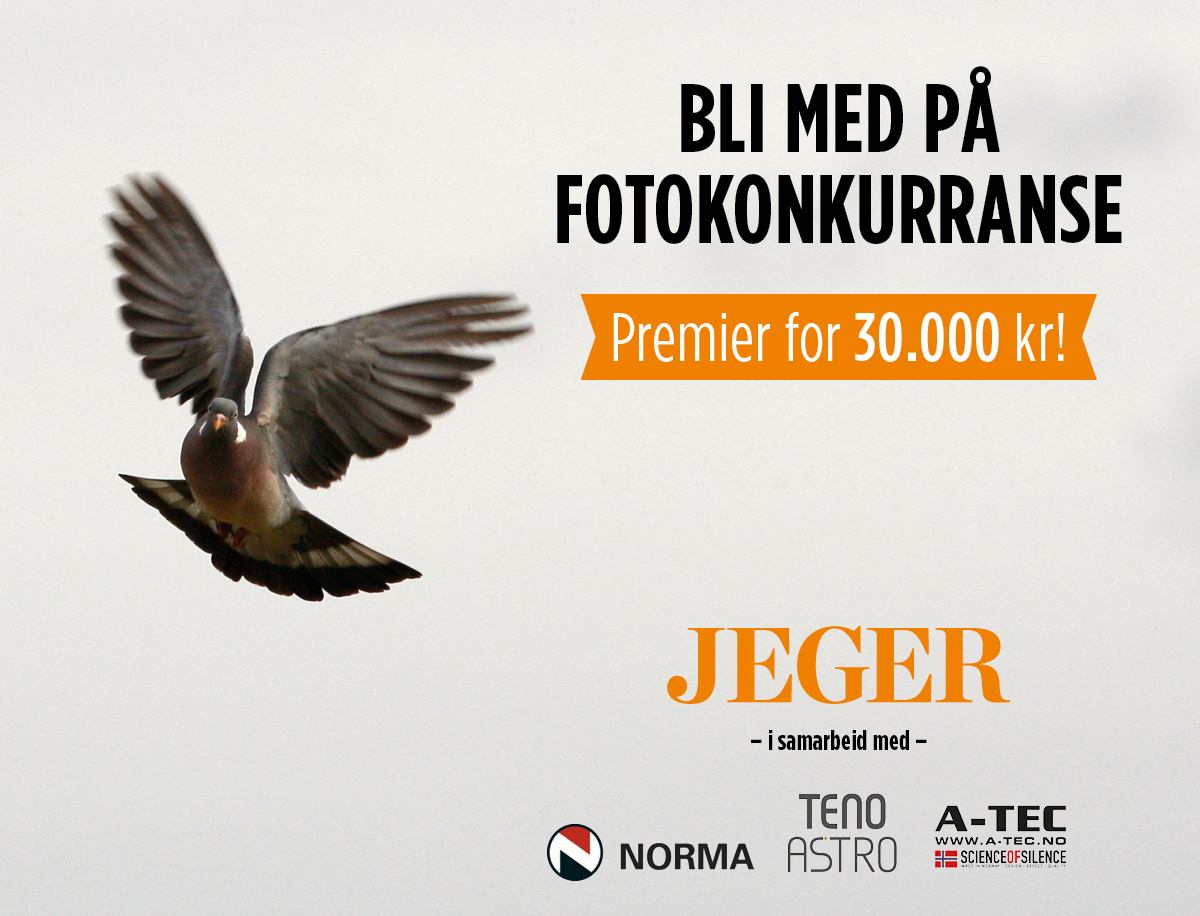 Bli med og stem i JEGERs fotokonkurranse | JEGER.NO