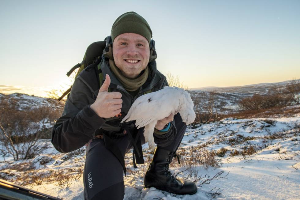 Rypejakt - råd og tips for beste rypejakt | JEGER.NO