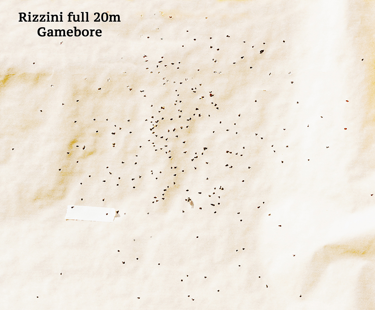 Test av Gamebore Clear Pigeon | JEGER.NO