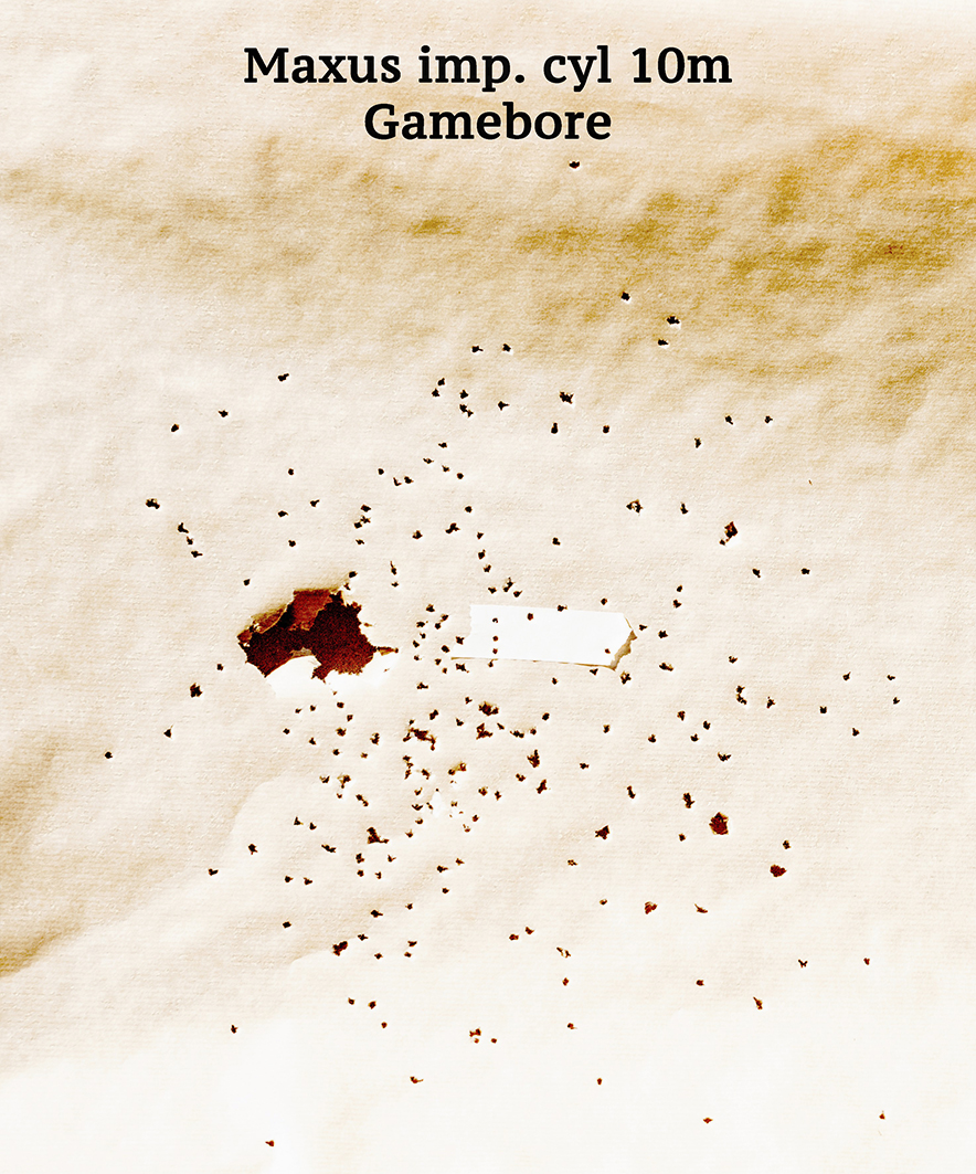 Test av Gamebore Clear Pigeon | JEGER.NO