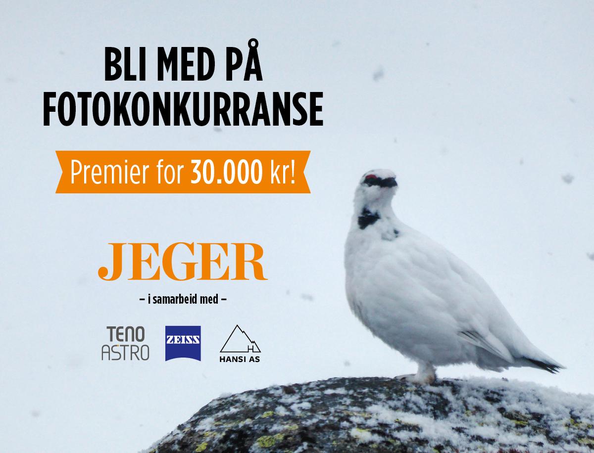 Stem på ditt favorittbilde | JEGER.NO