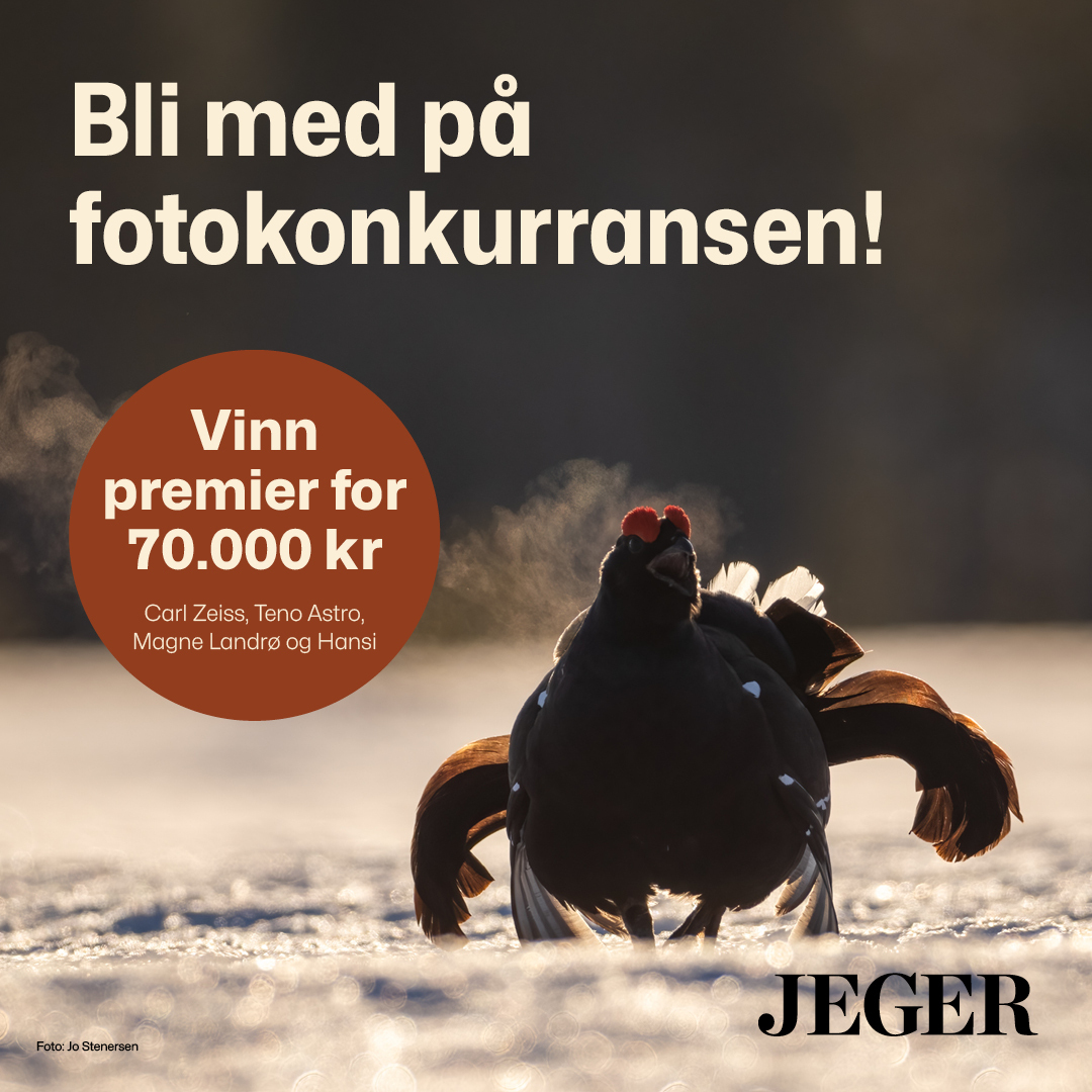 JEGERs fotokonkurranse 2024 - vinn premier for 70 000 kroner | JEGER.NO