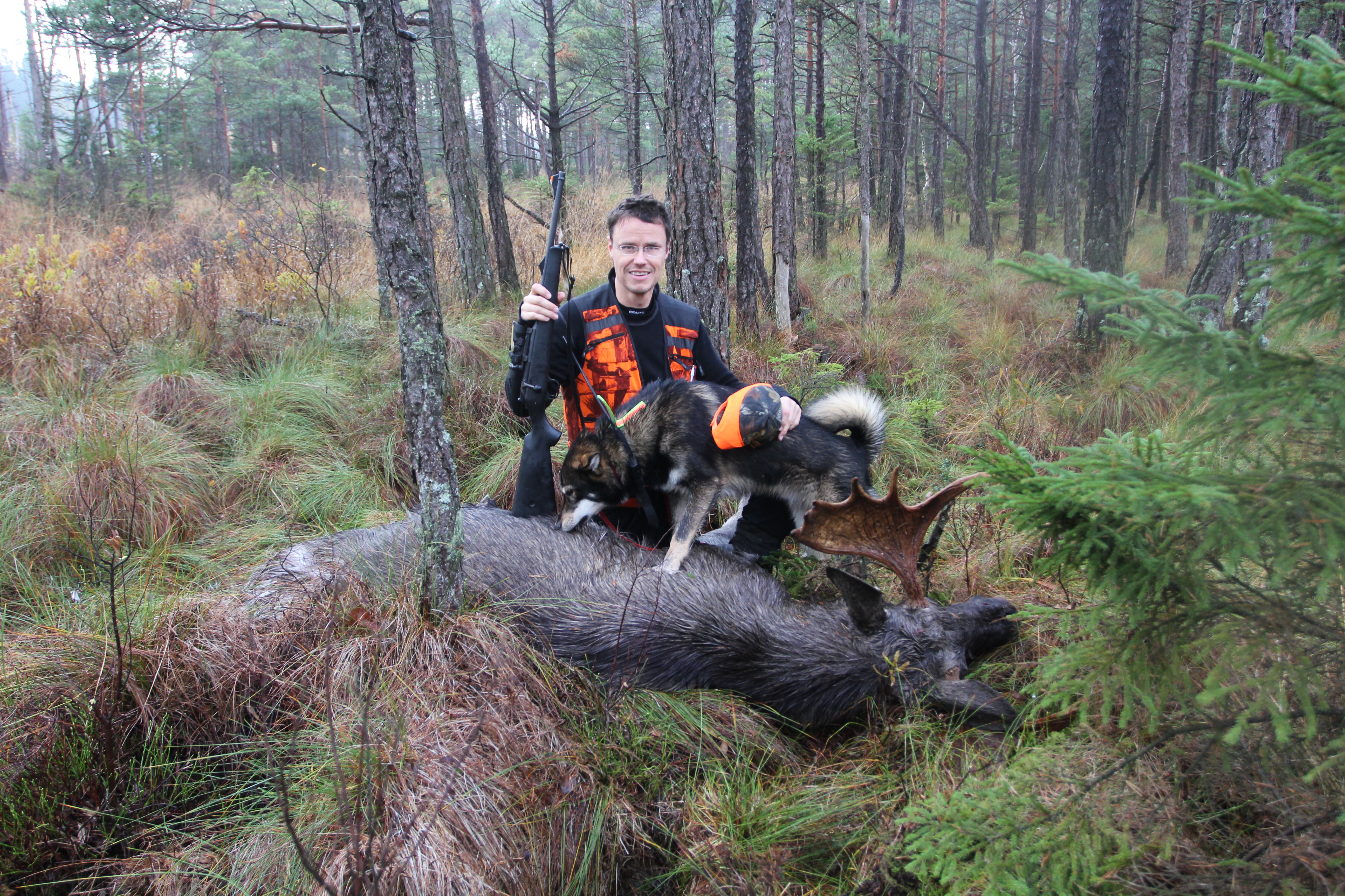 Bokanmeldelse: Bättre Eftersök med eftersöksjägarnas hemligheter | JEGER.NO