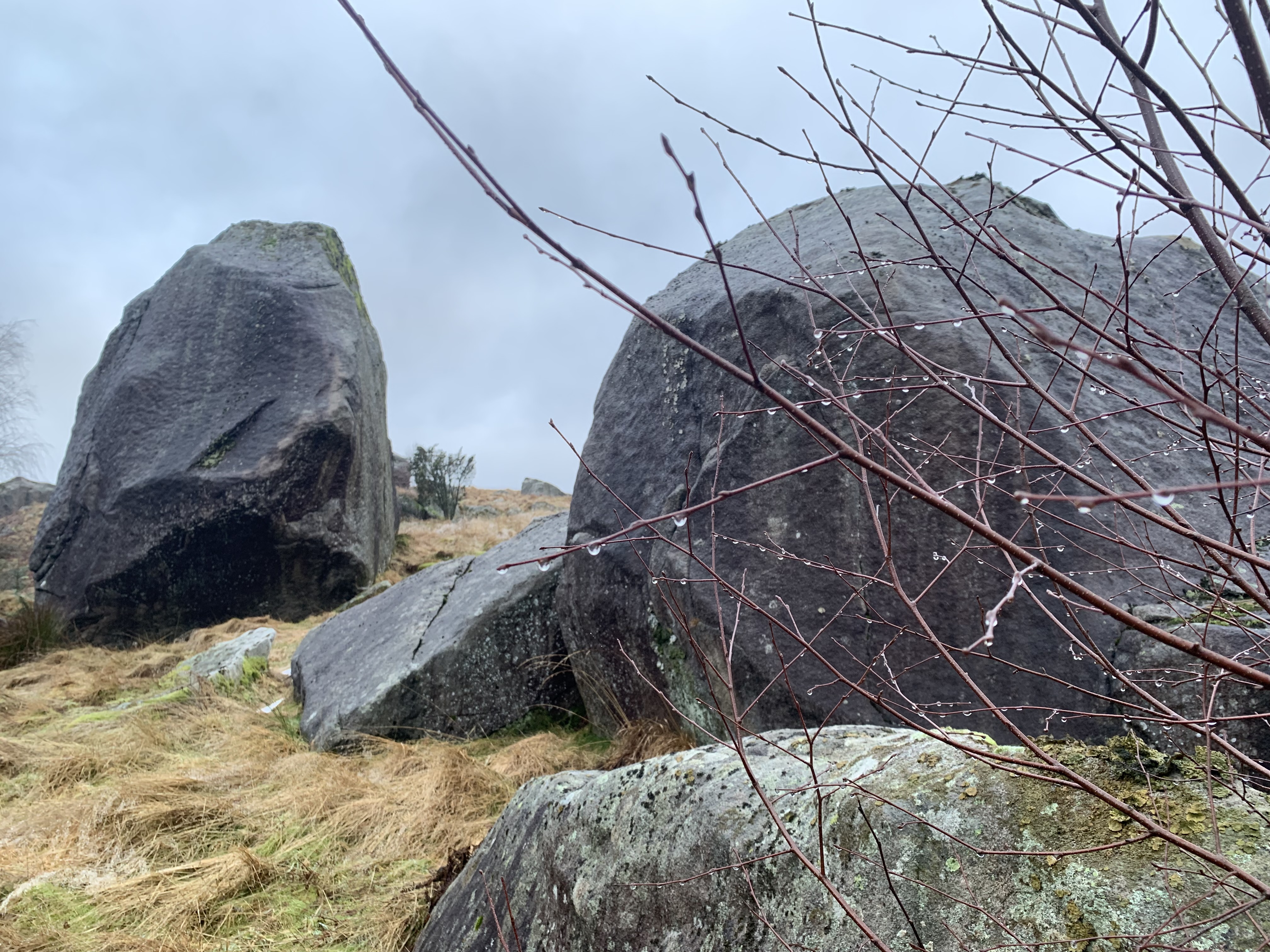 Januarbuldring på Jæren | FRIFLYT.NO