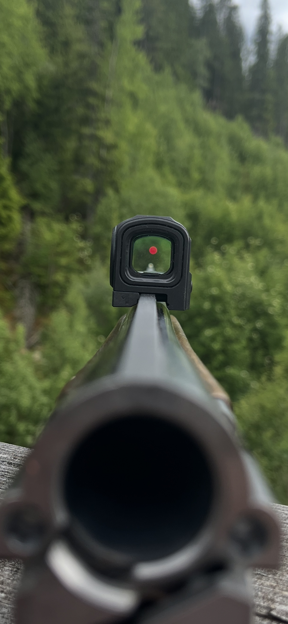 Test av Aimpoint Acro S2 | JEGER.NO