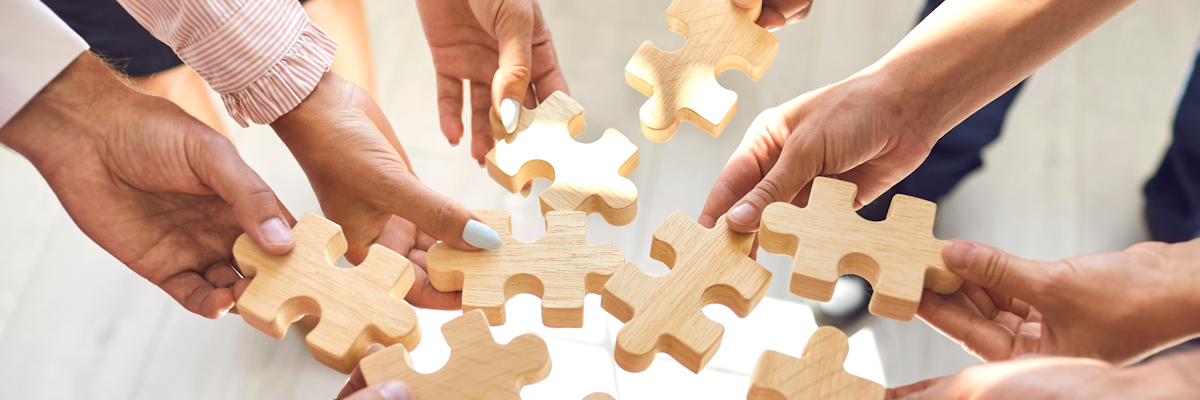 Stop fixing, start solving: how Collaborative Complex Problem Solving ...