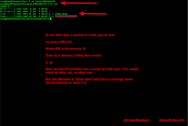 Investigating Linux Process File Descriptors for Incident Response and ...