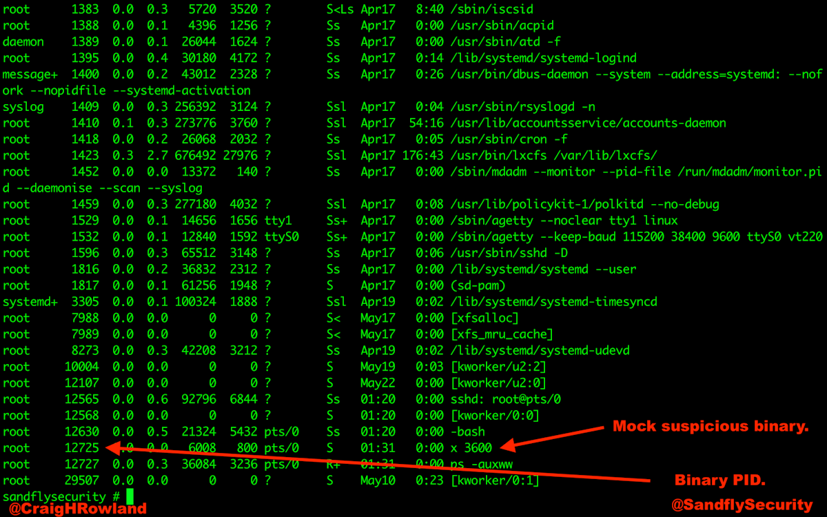 How To Recover A Deleted Binary From Active Linux Malware