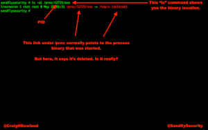 How To Recover A Deleted Binary From Active Linux Malware