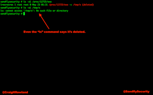 How To Recover A Deleted Binary From Active Linux Malware