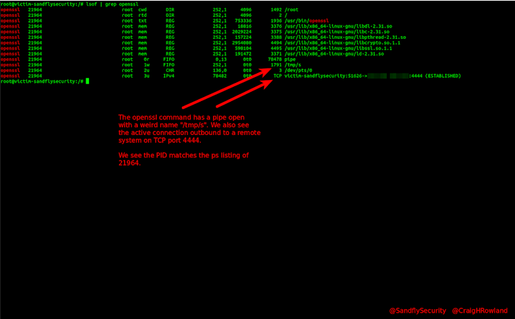 Detecting and Investigating OpenSSL Backdoors on Linux