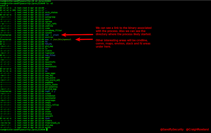 Detecting and Investigating OpenSSL Backdoors on Linux