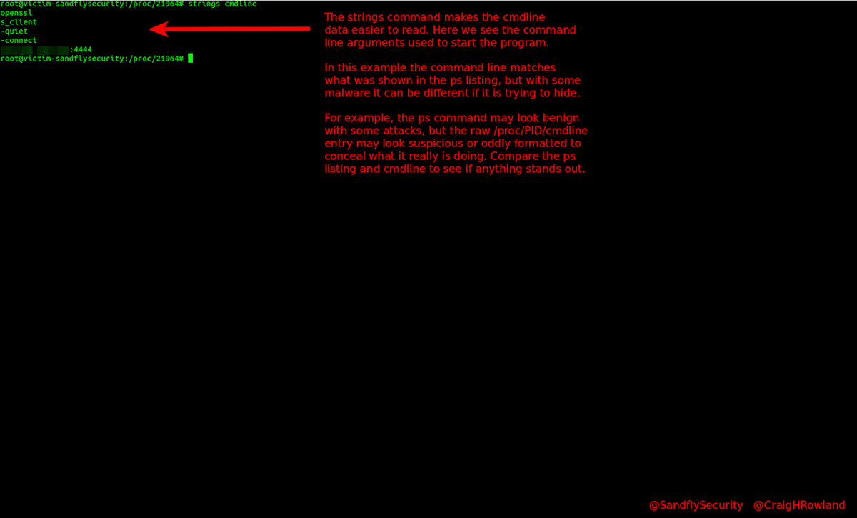Detecting and Investigating OpenSSL Backdoors on Linux