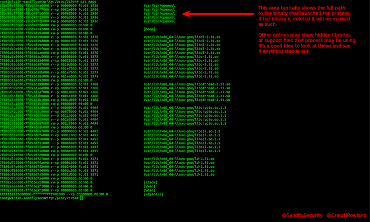 Detecting and Investigating OpenSSL Backdoors on Linux