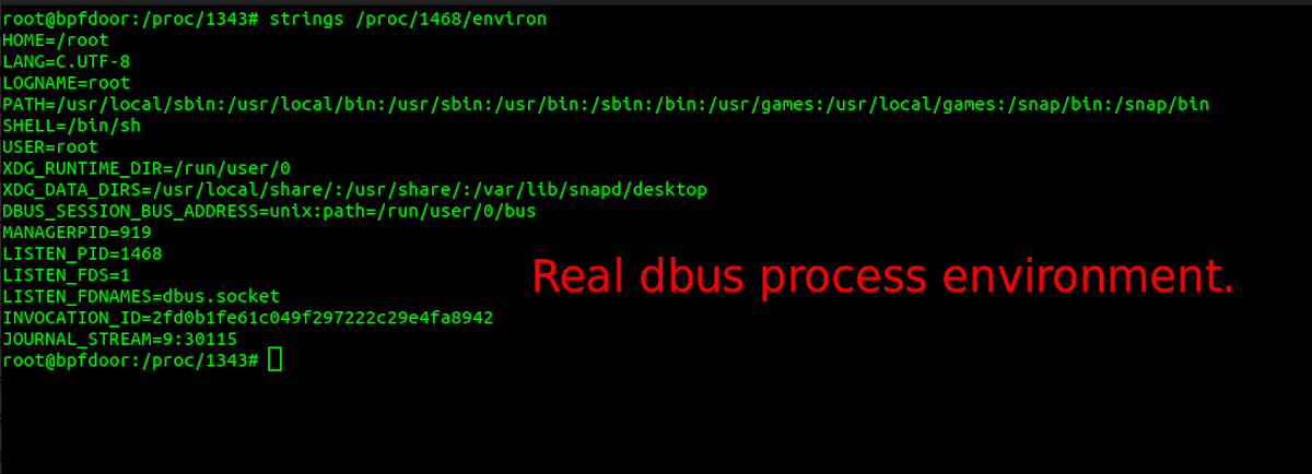 BPFDoor - An Evasive Linux Backdoor Technical Analysis