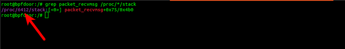 BPFDoor - An Evasive Linux Backdoor Technical Analysis
