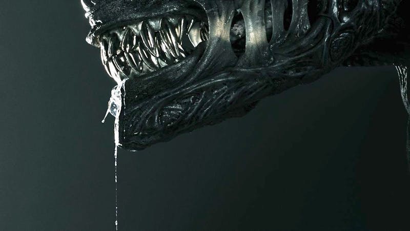 Aliens Meme Kerel Echte Naam Regisseur Van Thor: Ragnarok Gaat Star