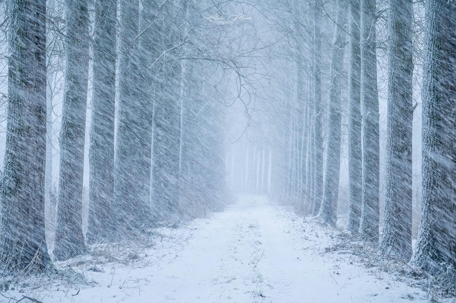 De wind vangen in je foto: 5 tips om beweging zichtbaar te maken ...