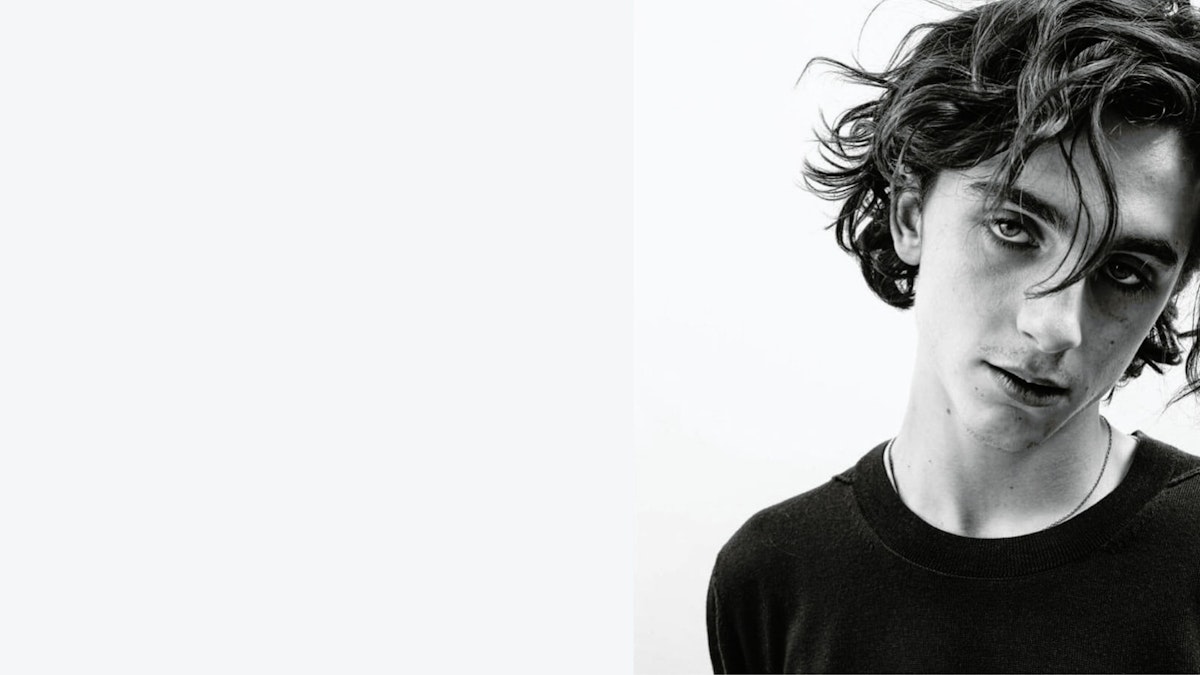 Timothée Chalamet: Từ chàng thơ của “Call me by your name" tới tài tử ...