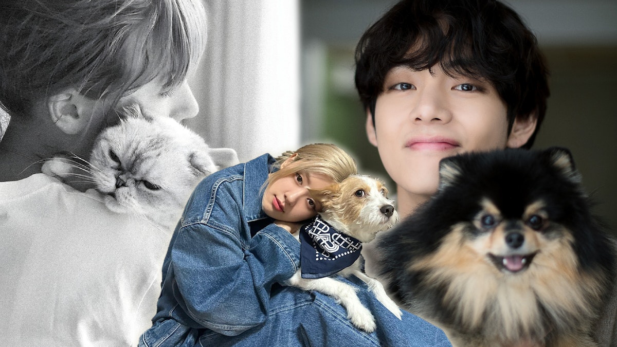 #FurryLove: Khi những "thần tượng" không biết nói