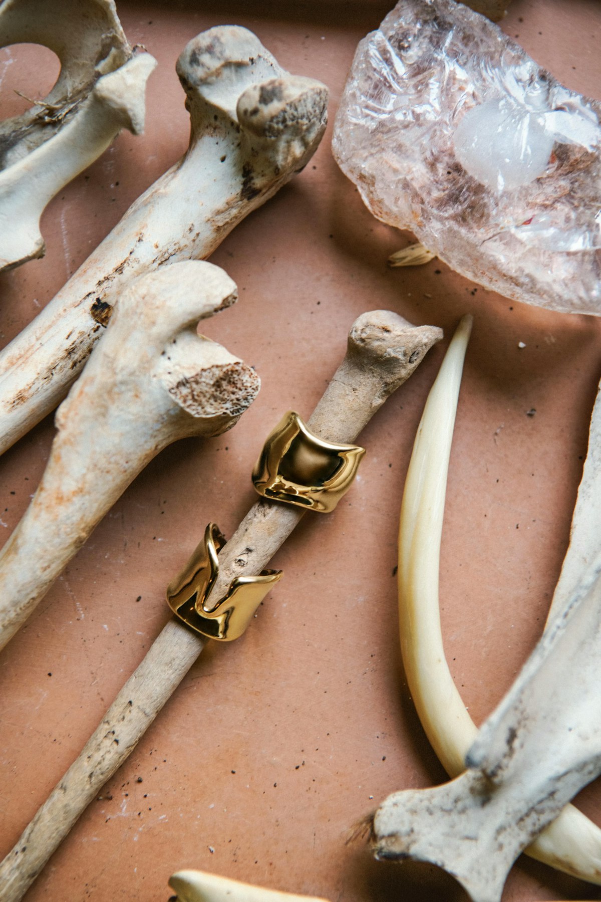 Tiffany & Co. tôn vinh người phụ nữ hiện đại nhân Lễ kỷ niệm 50 năm ...